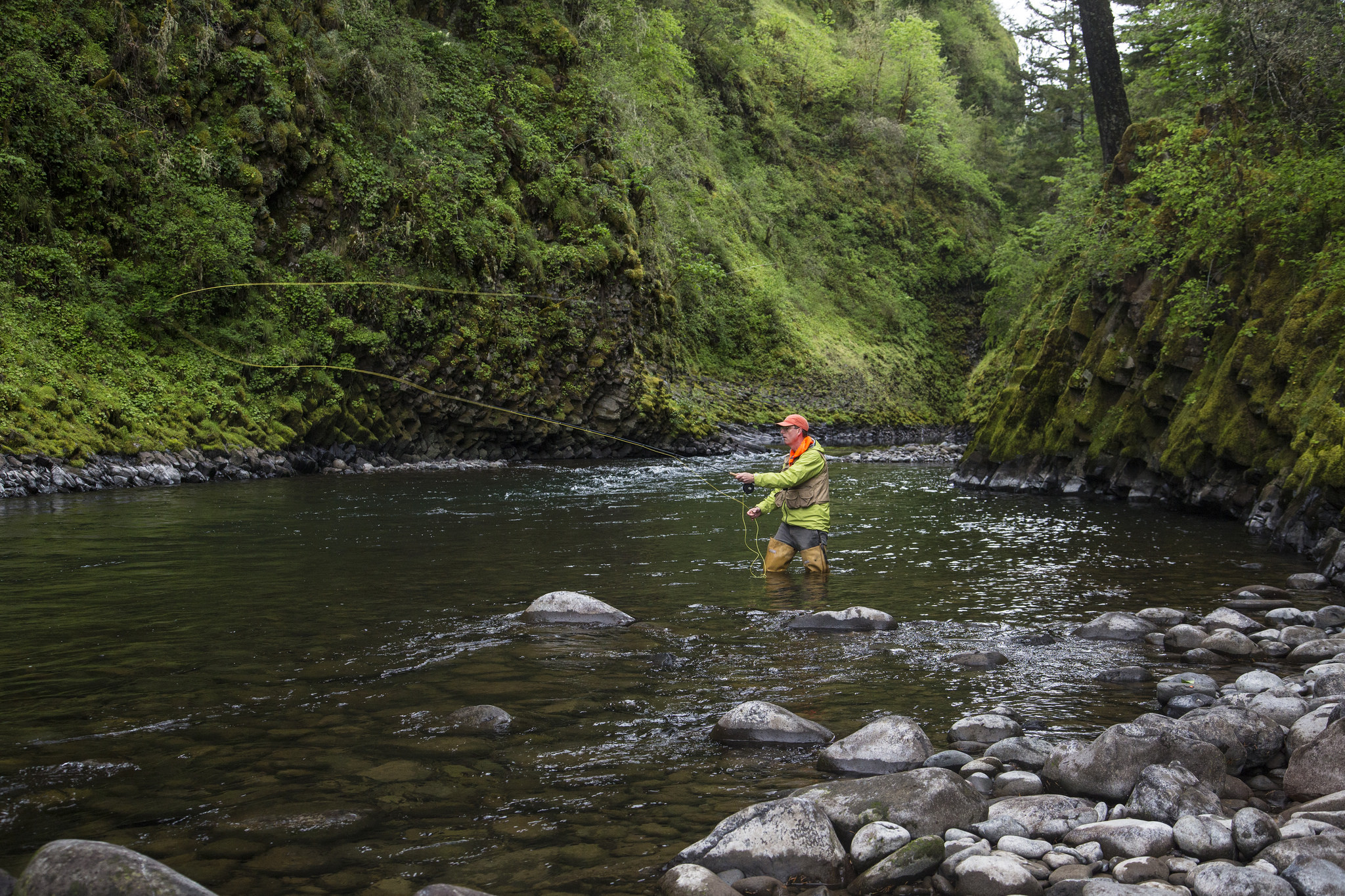 Adorn the fisher’s hat in Oregon this summer